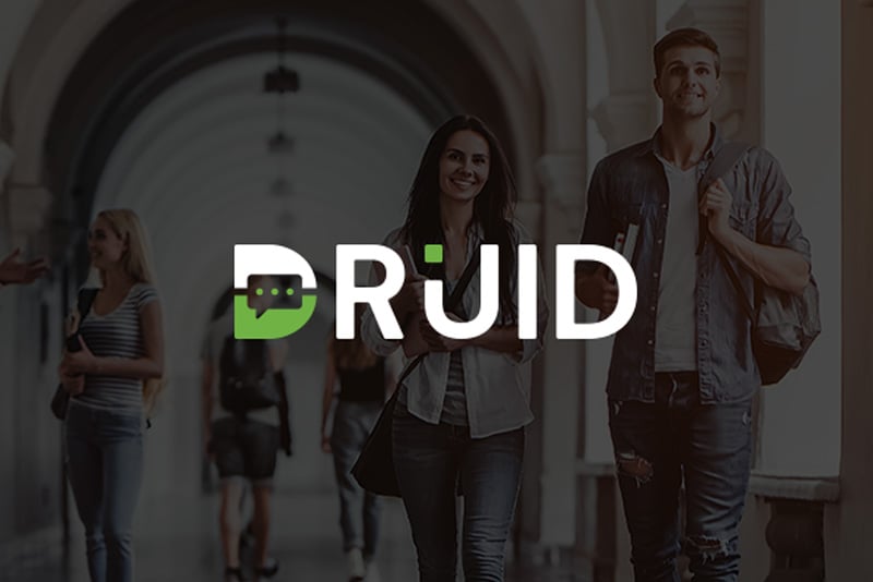 DRUID AI Agents for Higher Education